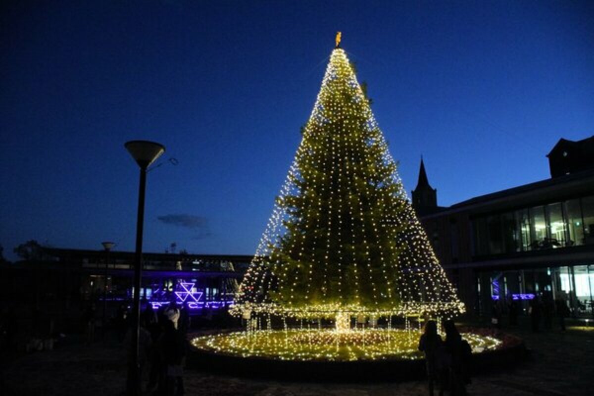 A christmas tree is lit up on a university campus in kyotanabe city ...