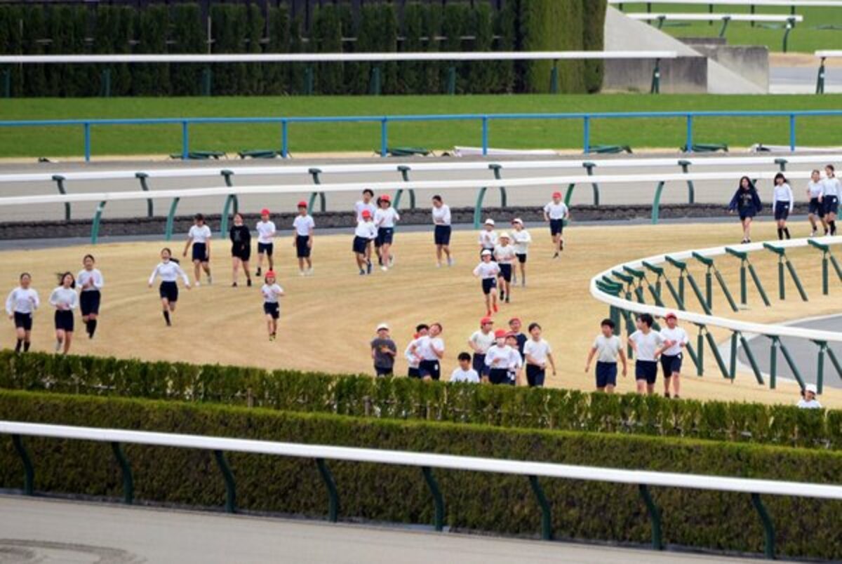 Elementary school students run with all their might on the grass course ...