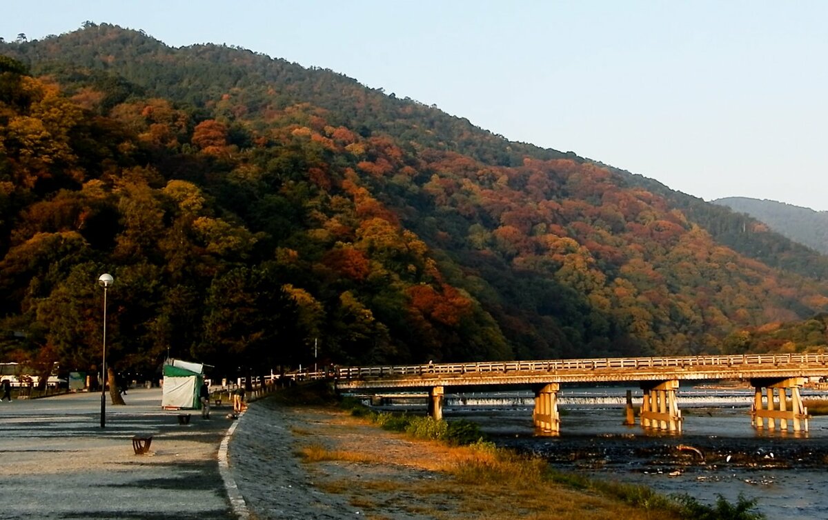 Video report[autumn leaves in kyoto]autumn leaves are beginning to ...