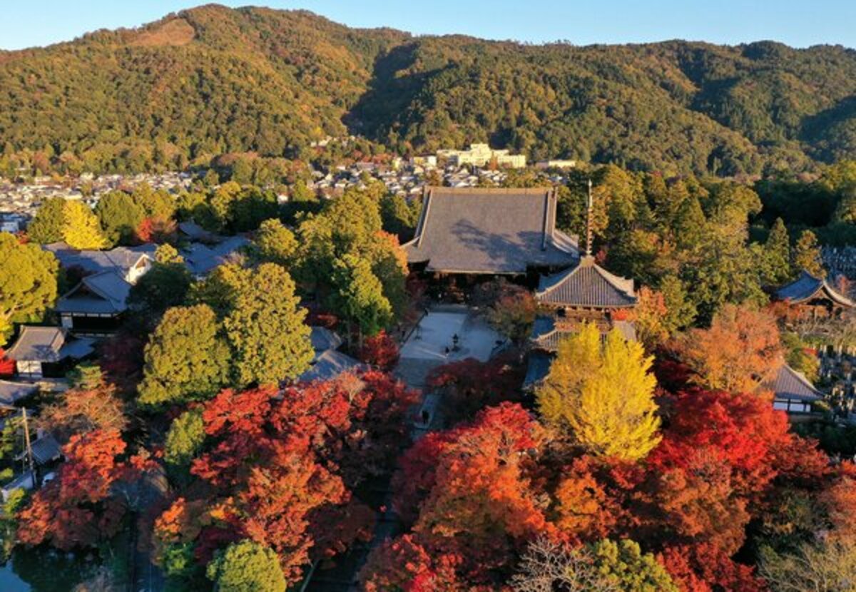 Autumn leaves at shinnyodo temple in sakyo ward, kyoto city, seen from ...