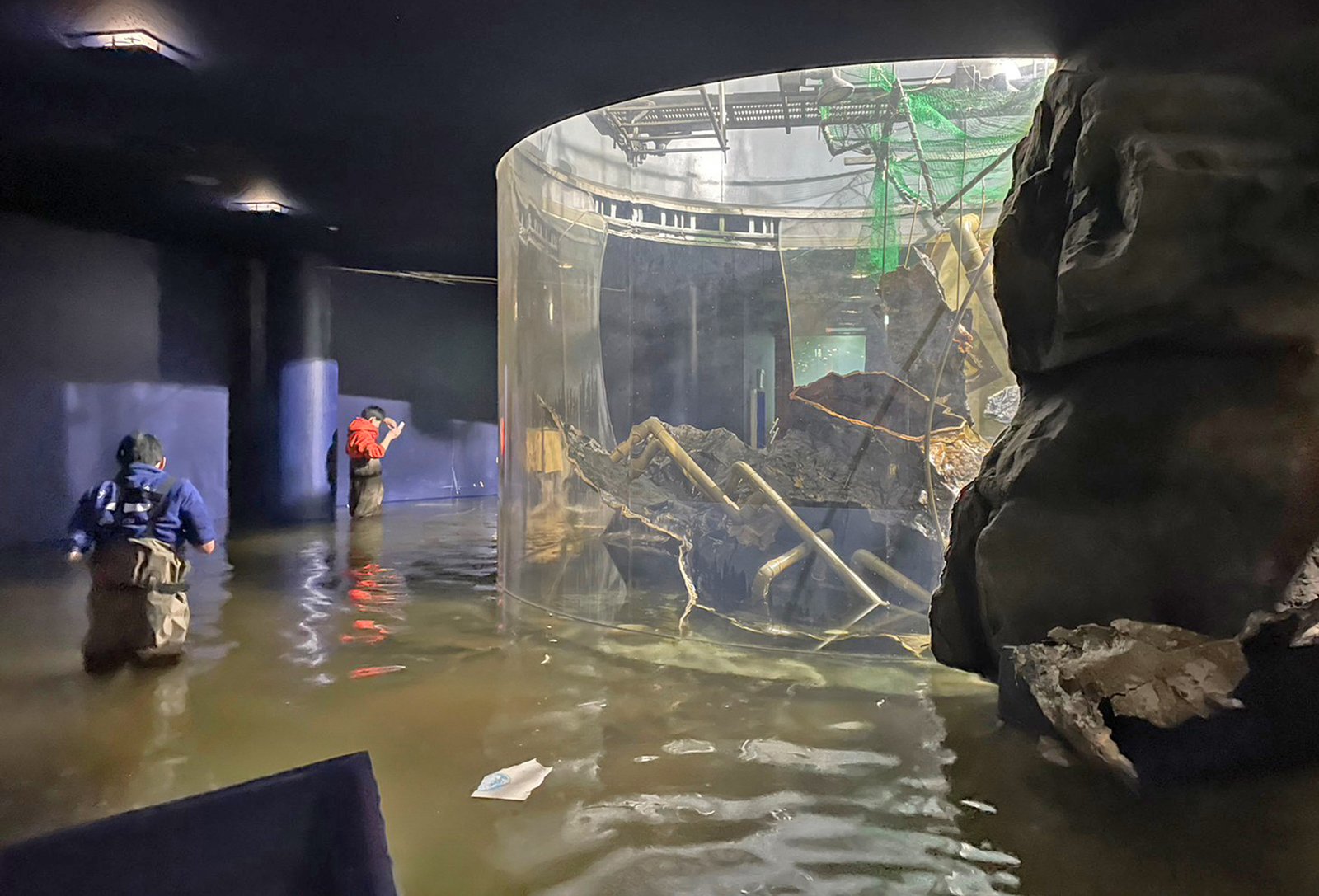 Giant lake biwa catfish's large tank damaged at lake biwa museum ...