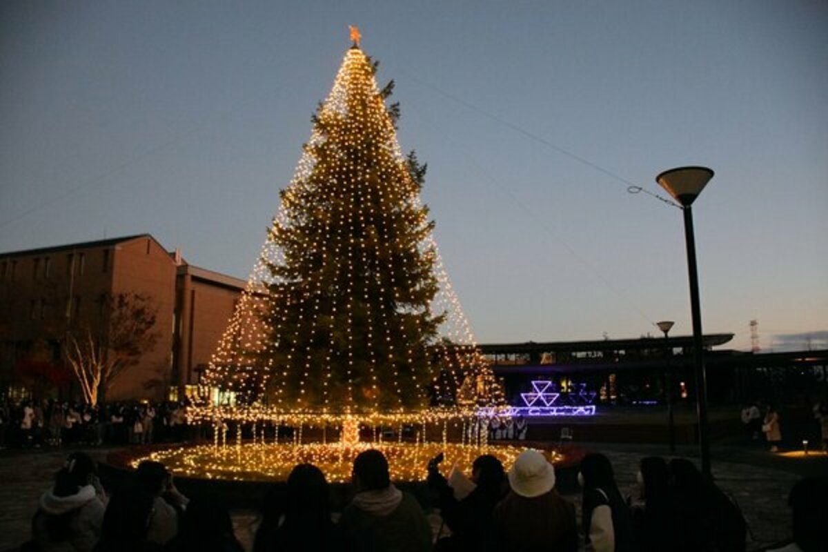 A christmas tree is lit up on a university campus in kyotanabe city ...