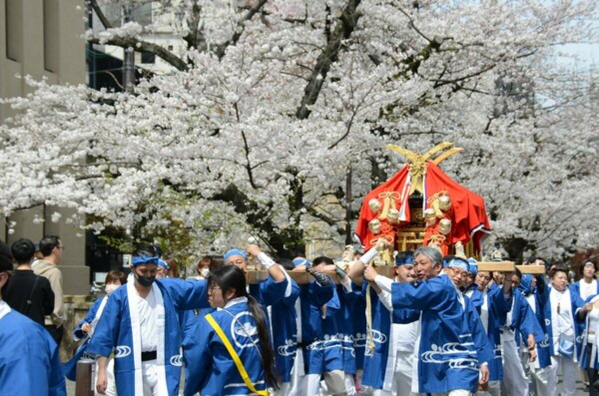 "cherry blossom festival" in nakagyo ward, kyoto city. tourists enjoy ...