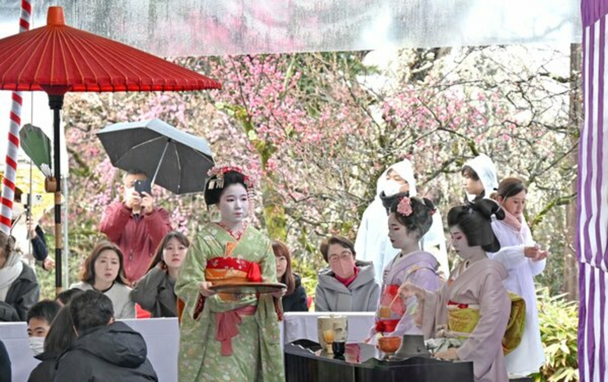 ''plum blossom festival'' at kitano tenmangu shrine in kamigyo ward ...