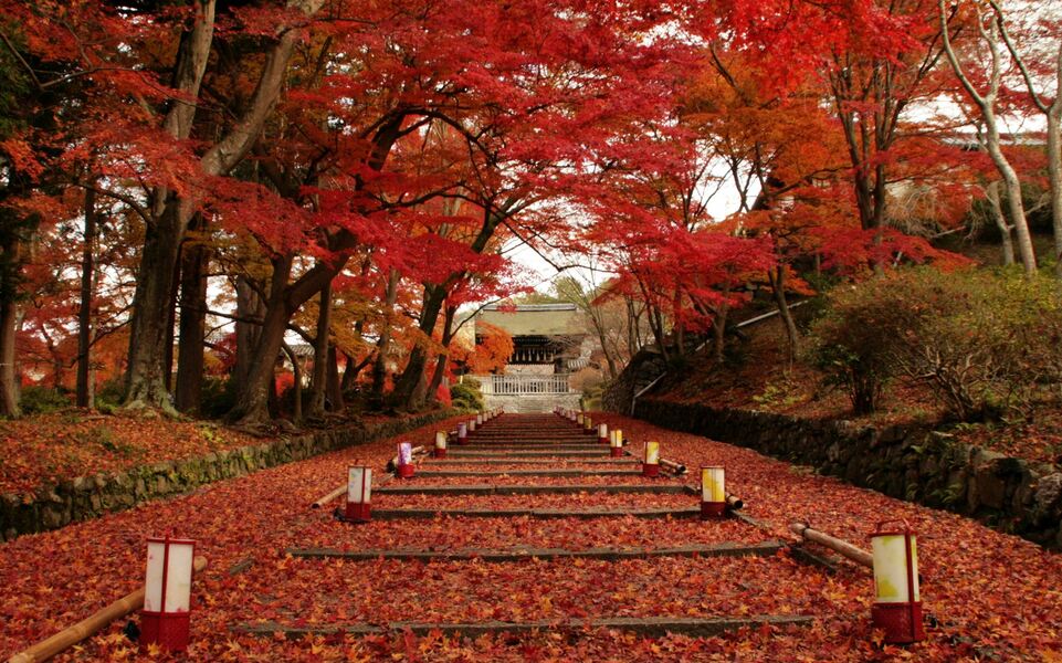 The Kyoto Shimbun(Kyoto News) - News, Culture, Entertainment ...