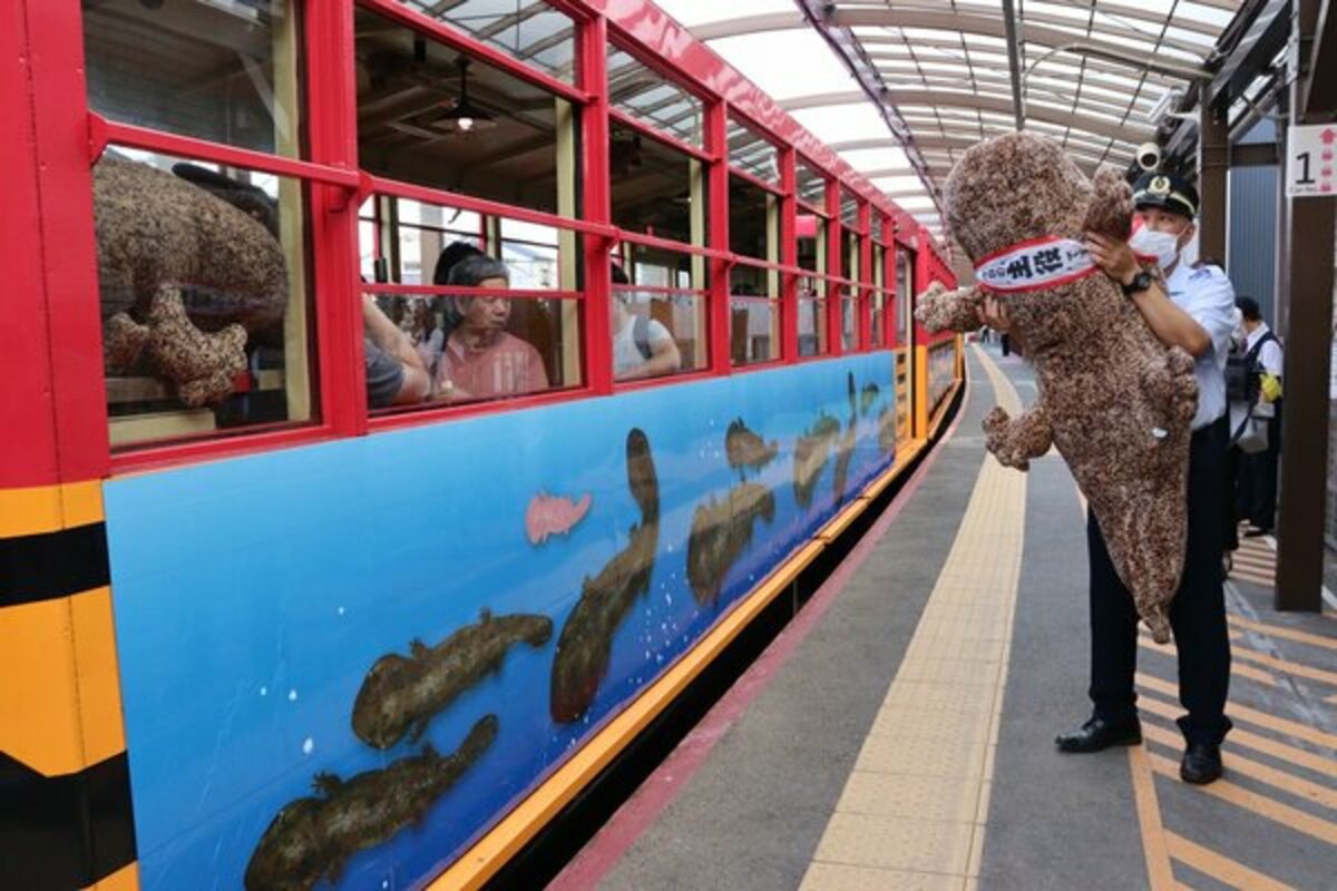 The ''giant salamander train'' operates on the sagano scenic railway in ...