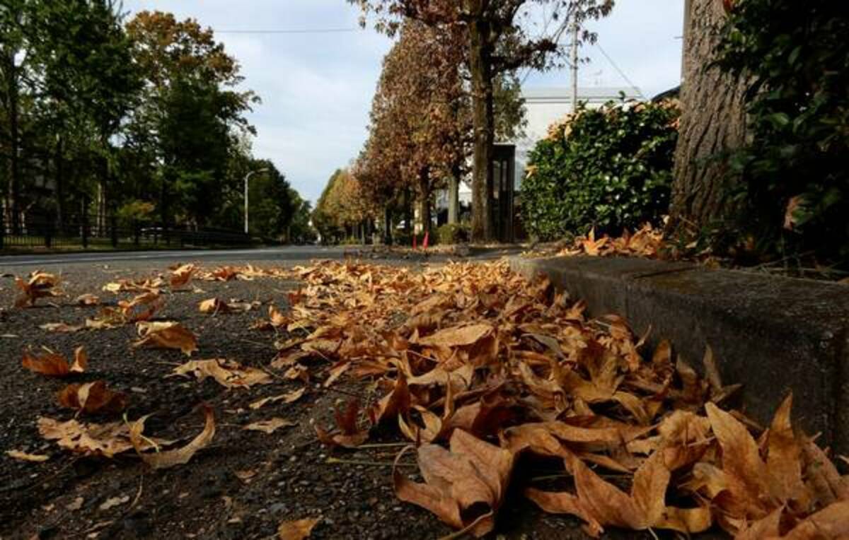 Kyoto city has been experiencing intense heat for a long time, with ...