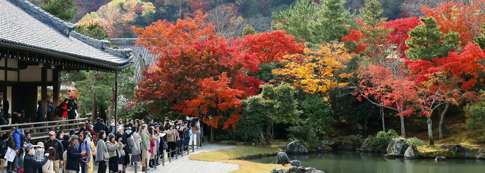 The Kyoto Shimbun(Kyoto News) - News, Culture, Entertainment ...