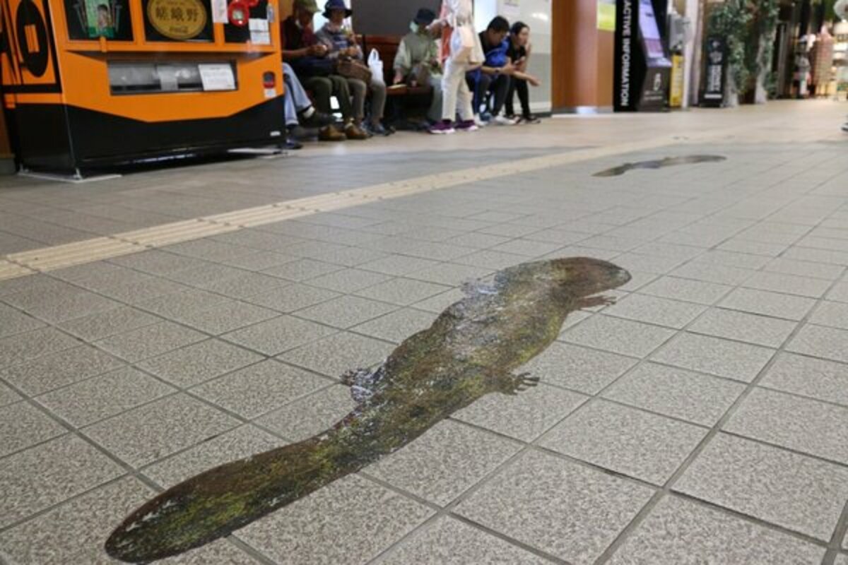 The ''giant salamander train'' operates on the sagano scenic railway in ...
