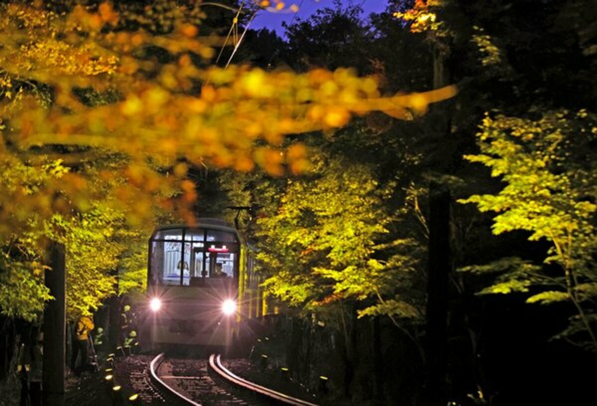 Video report[autumn leaves in kyoto]“momiji tunnel” in the back parlor ...